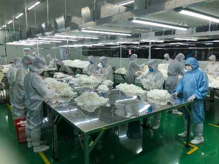 CLEANROOM GLOVES RECYCLING - SePro